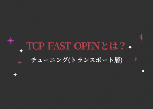 TCP FAST OPENとは？ | REDBOX Labo